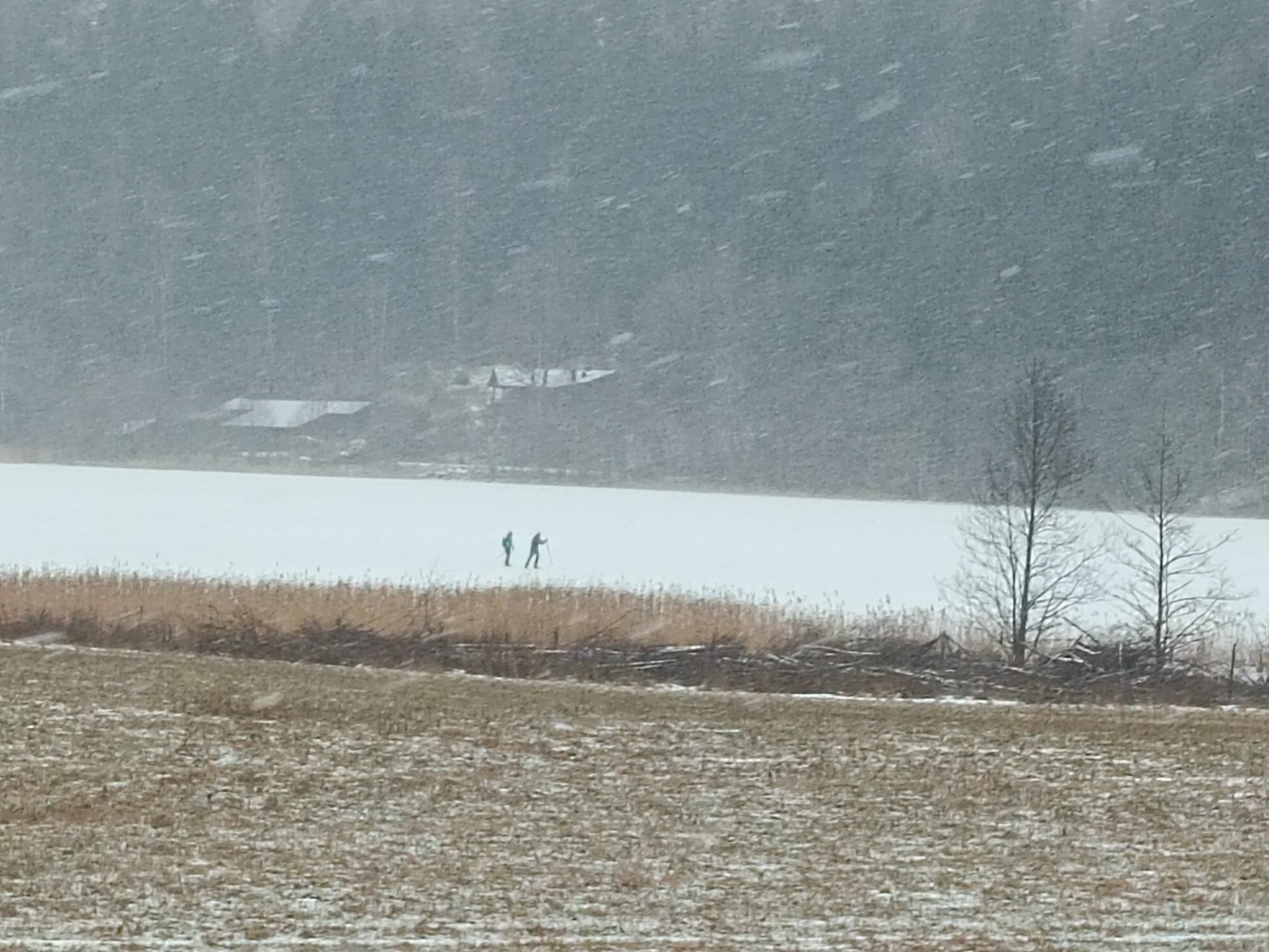 Ice, ice, baby.....(winter-theme) | AirGun Forums the best shooting ...