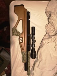 Artemis p10 | AirGun Forums