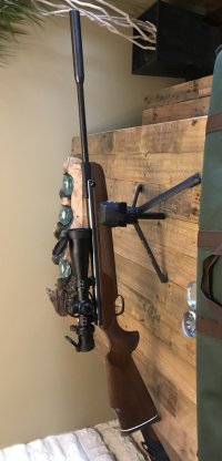 Show me your HW95's | AirGun Forums