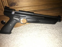 Show me your Crosman 1377 | AirGun Forums