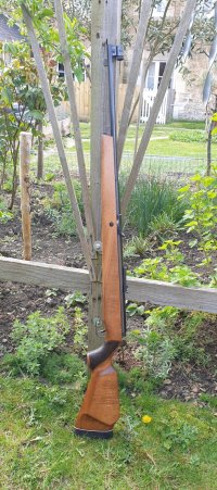 Original model 50 power | AirGun Forums